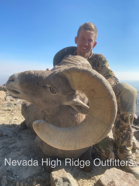 2021 Dream Tag California Sheep by Nevada High Ridge Outfitters