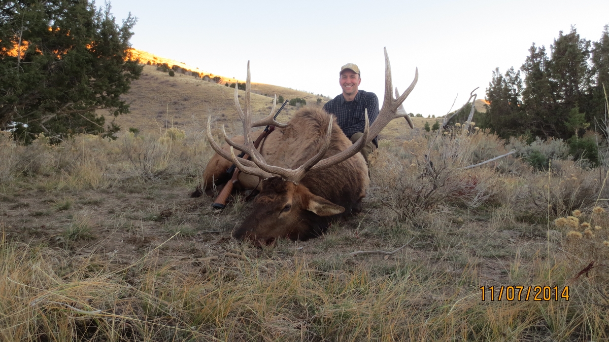Nevada Elk Hunts - Nevada High Ridge Outfitters