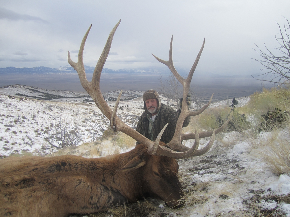 Nevada Elk Hunts - Nevada High Ridge Outfitters