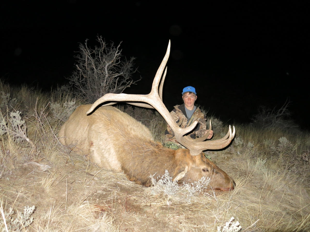 Nevada Elk Hunts - Nevada High Ridge Outfitters
