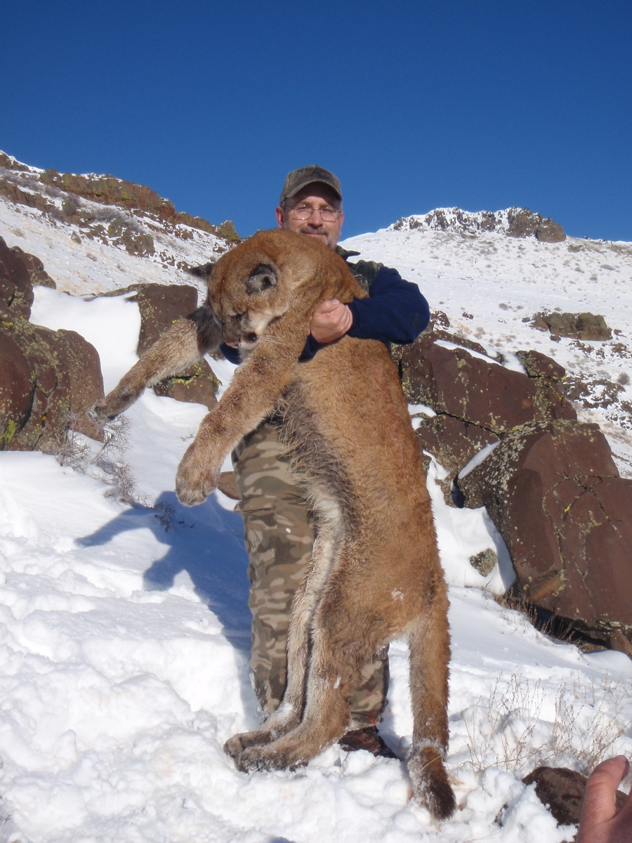 Nevada Mountain Lion Hunts - Nevada High Ridge Outfitters