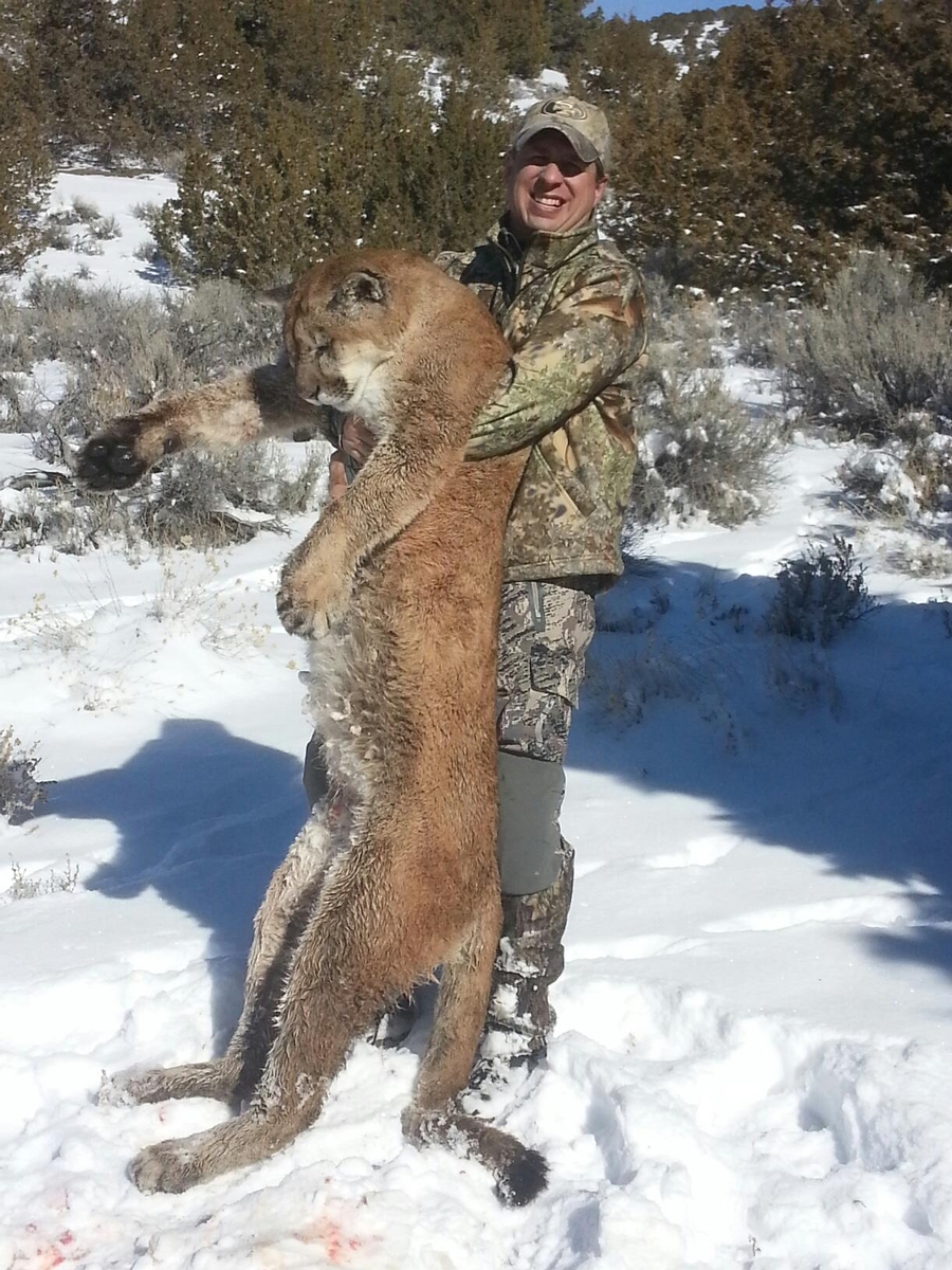 Page 2/3 - Nevada Mountain Lion & Black Bear Hunting