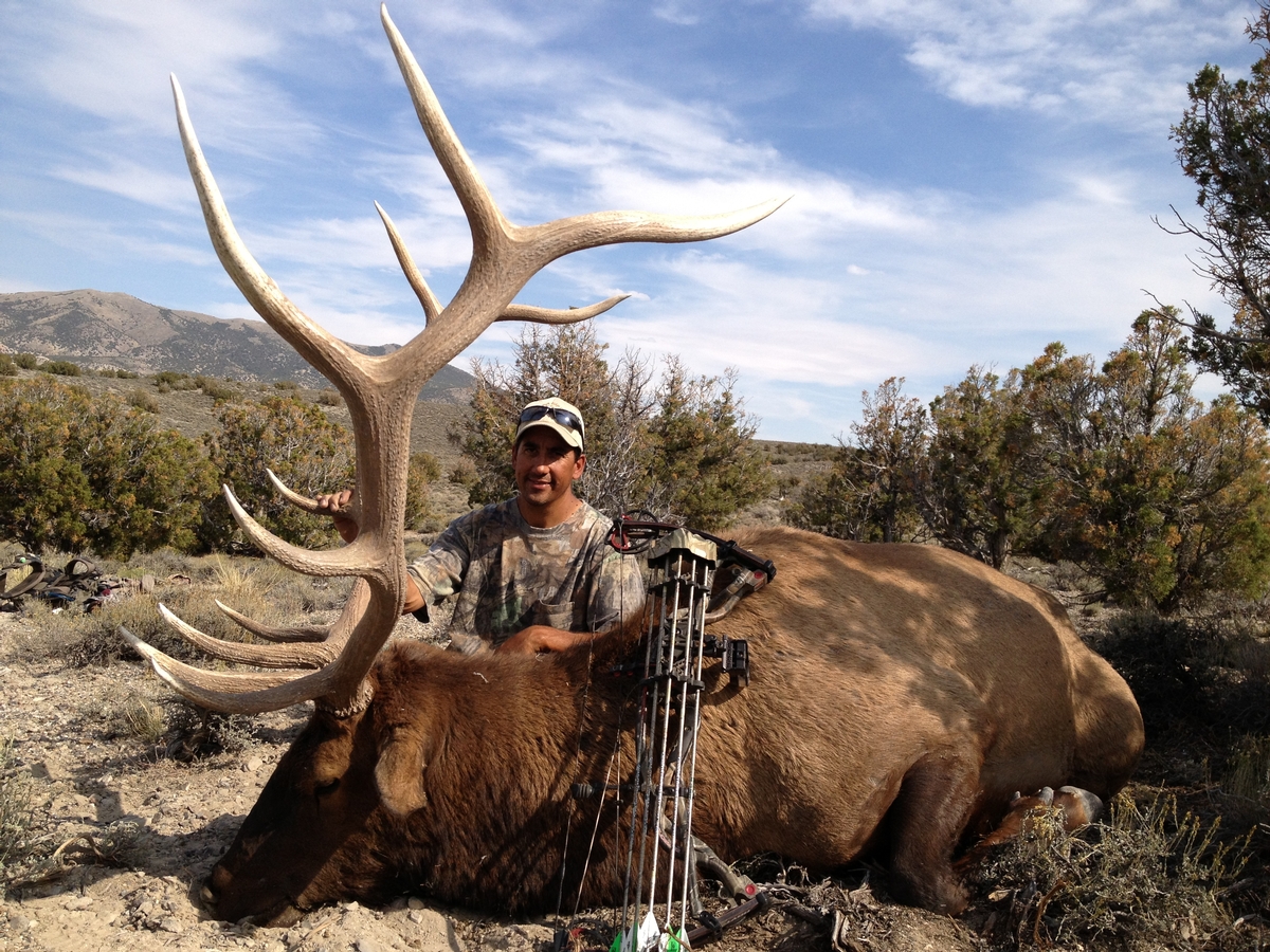 Nevada Elk Hunts - Nevada High Ridge Outfitters