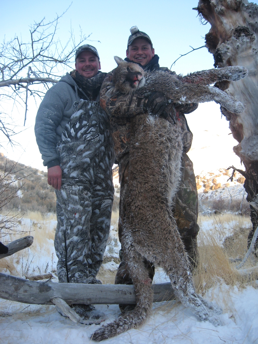 Page 3/3 - Nevada Mountain Lion & Black Bear Hunting