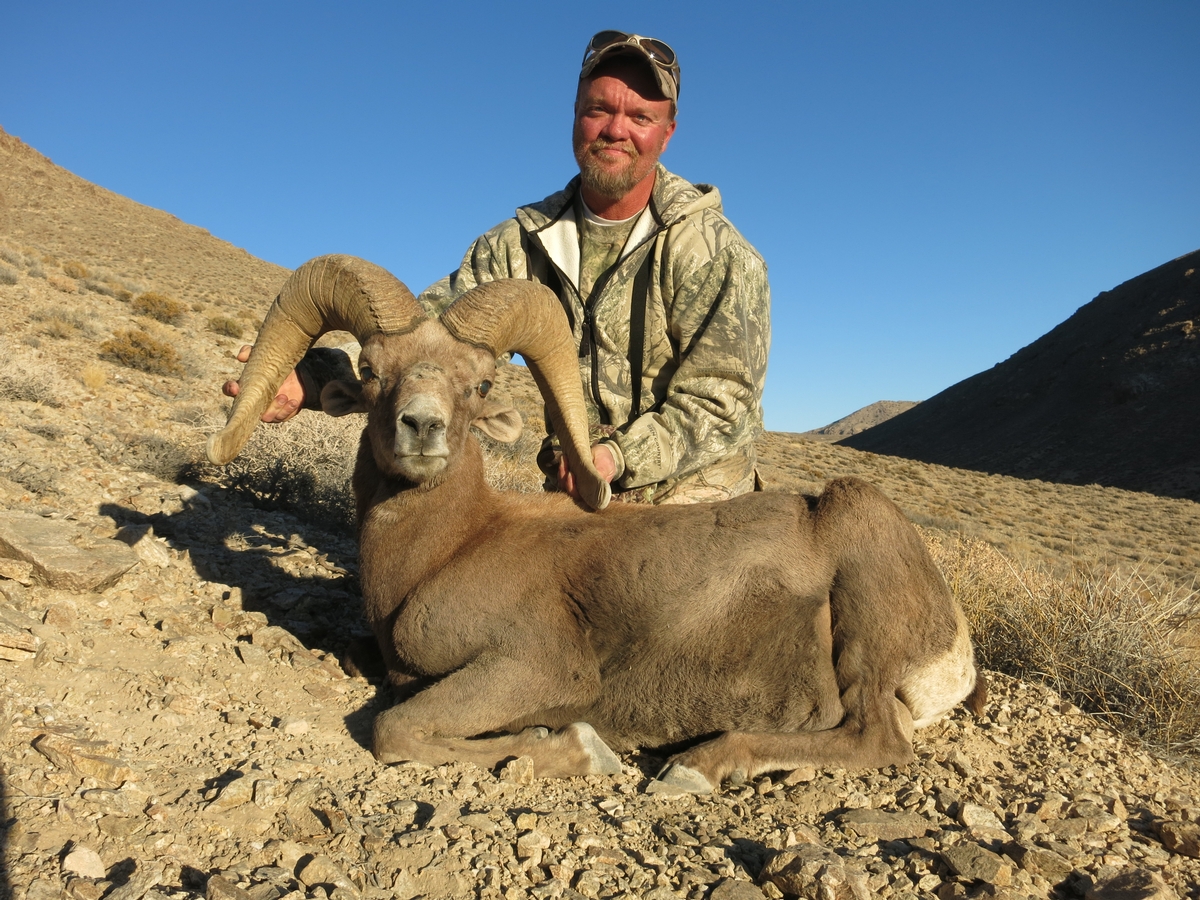 Page 3/4 - Nevada Sheep Hunting