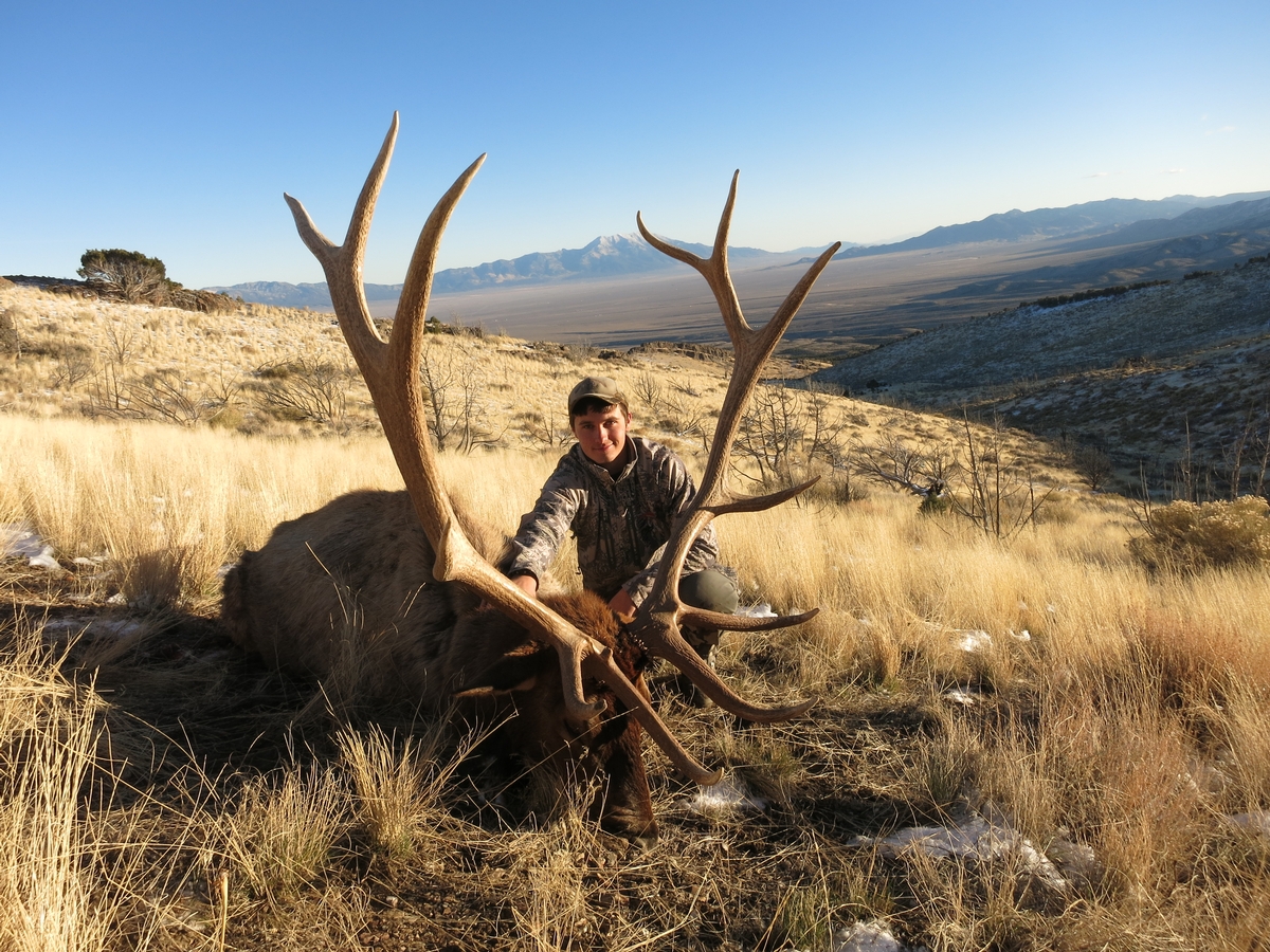 Nevada Elk Hunts - Nevada High Ridge Outfitters