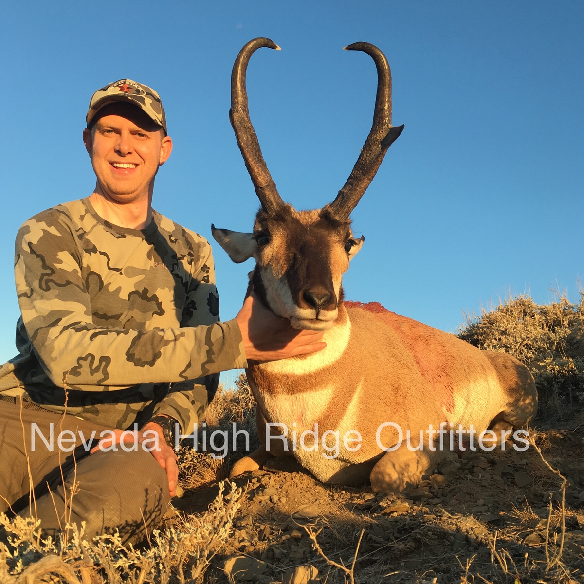 Page 2/6 - Nevada Antelope Hunting