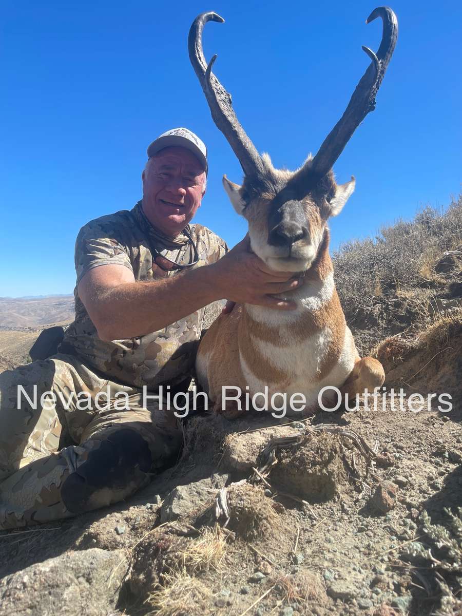 Nevada Antelope Hunts - Nevada High Ridge Outfitters