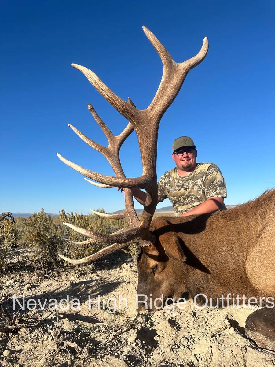 Nevada Elk Hunts - Nevada High Ridge Outfitters