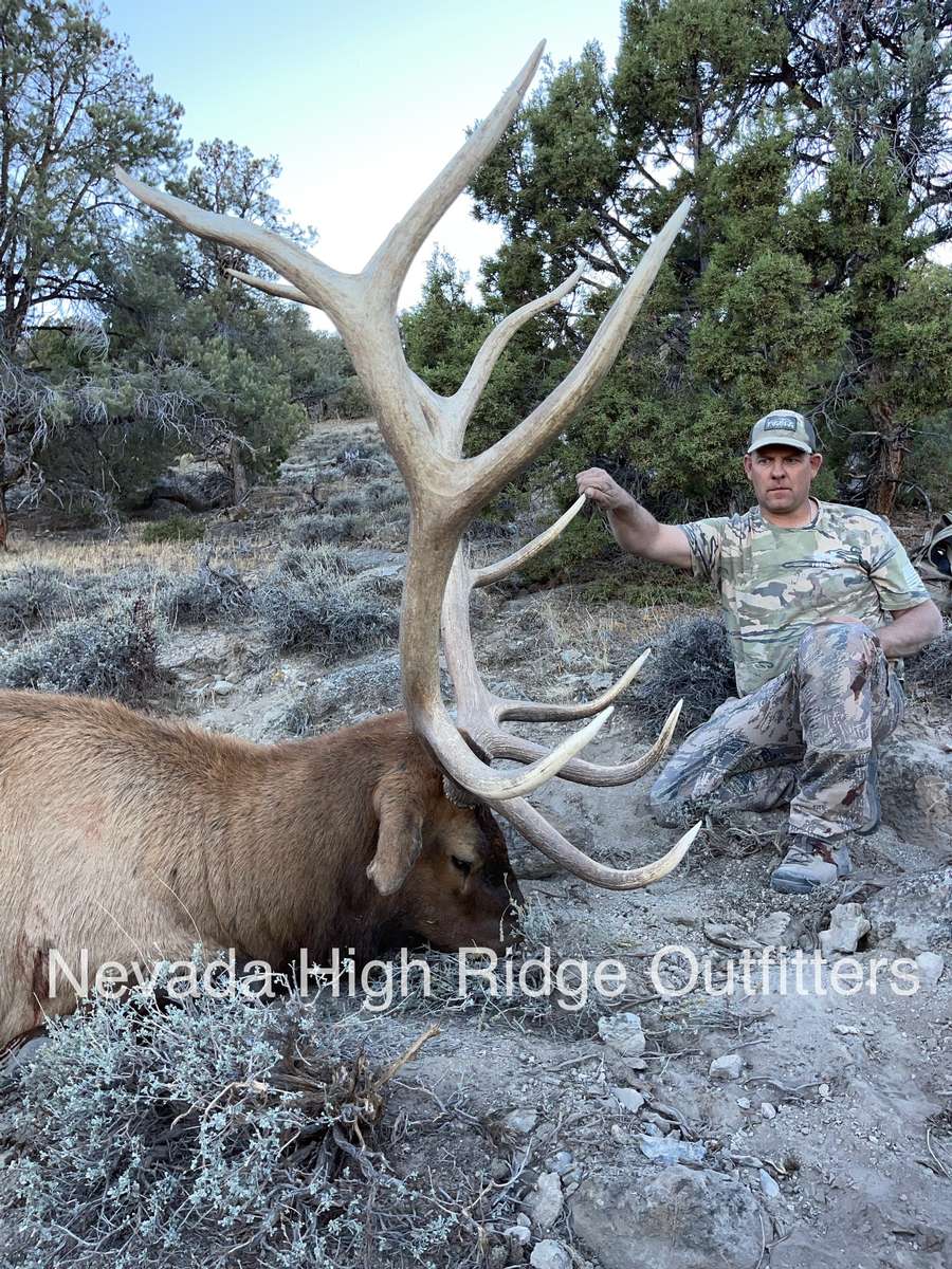 Nevada Elk Hunts - Nevada High Ridge Outfitters