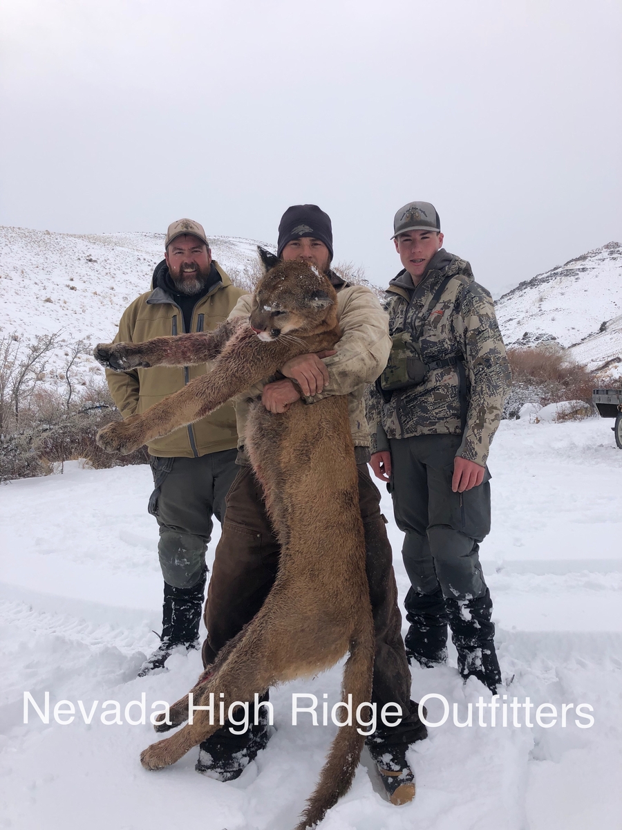 Nevada High Ridge Outfitters 2020 Hunts Photo Gallery