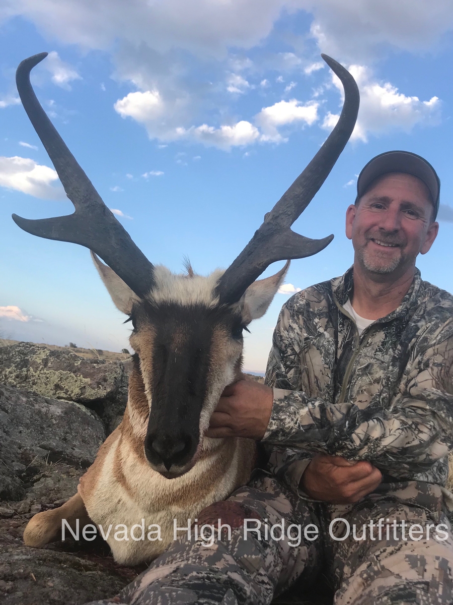 Nevada Antelope Hunts - Nevada High Ridge Outfitters