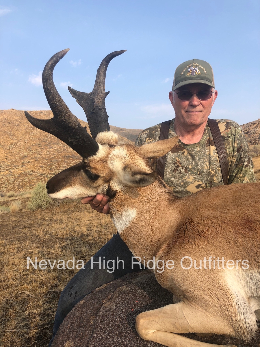 Nevada Antelope Hunts - Nevada High Ridge Outfitters