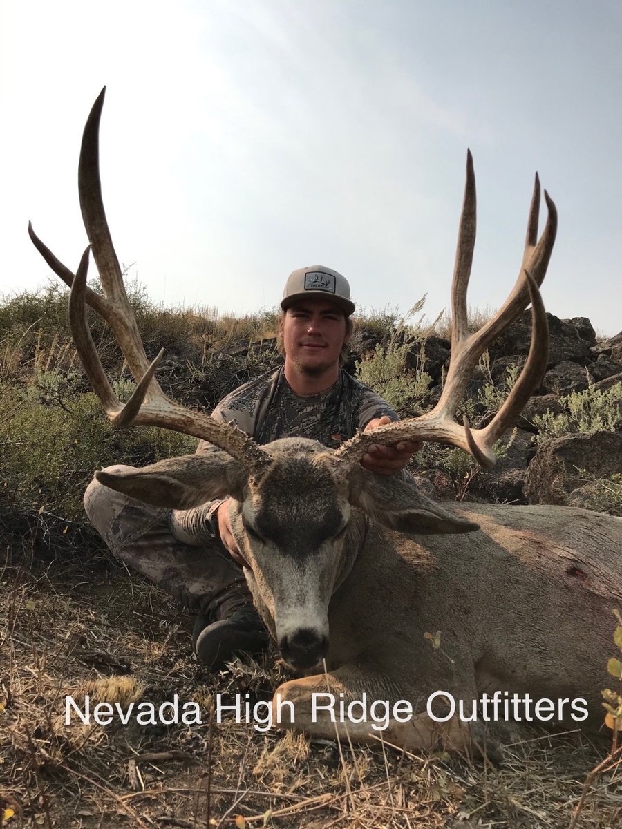 Page 2/8 - Nevada Mule Deer Hunting
