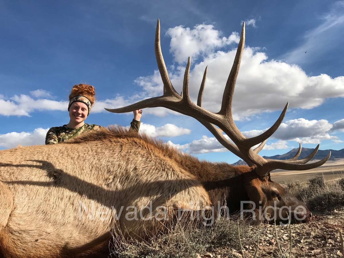 Nevada Elk Hunts - Nevada High Ridge Outfitters