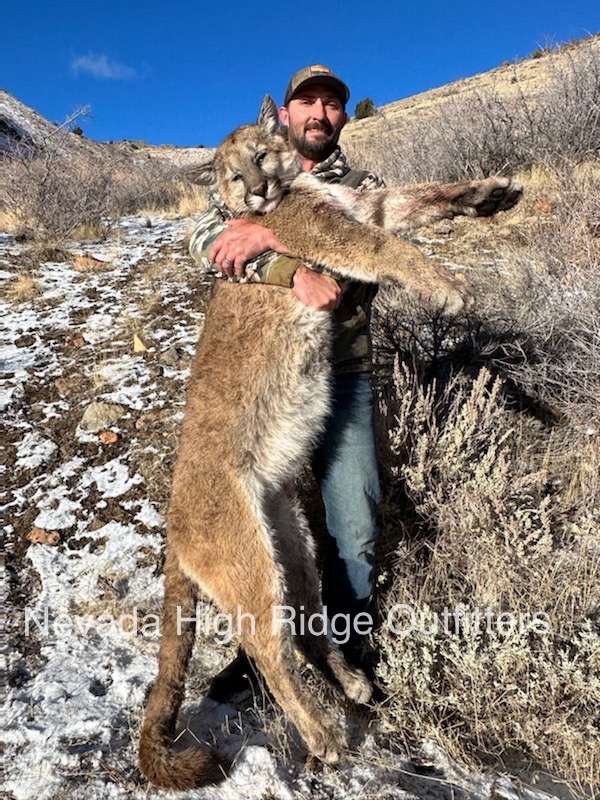 Page 2/2 - Nevada High Ridge Outfitters 2022 Hunts Photo Gallery