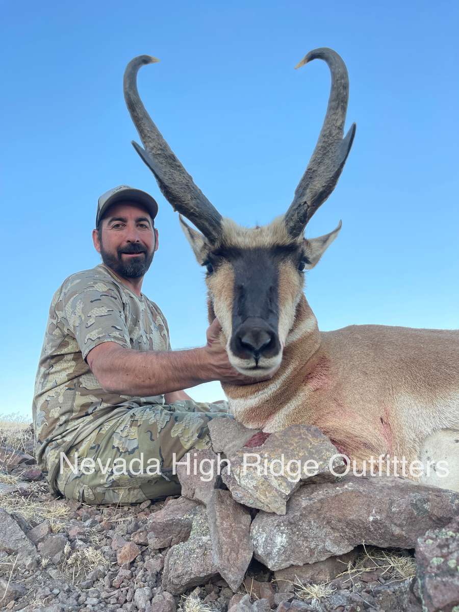 Nevada Antelope Hunts - Nevada High Ridge Outfitters