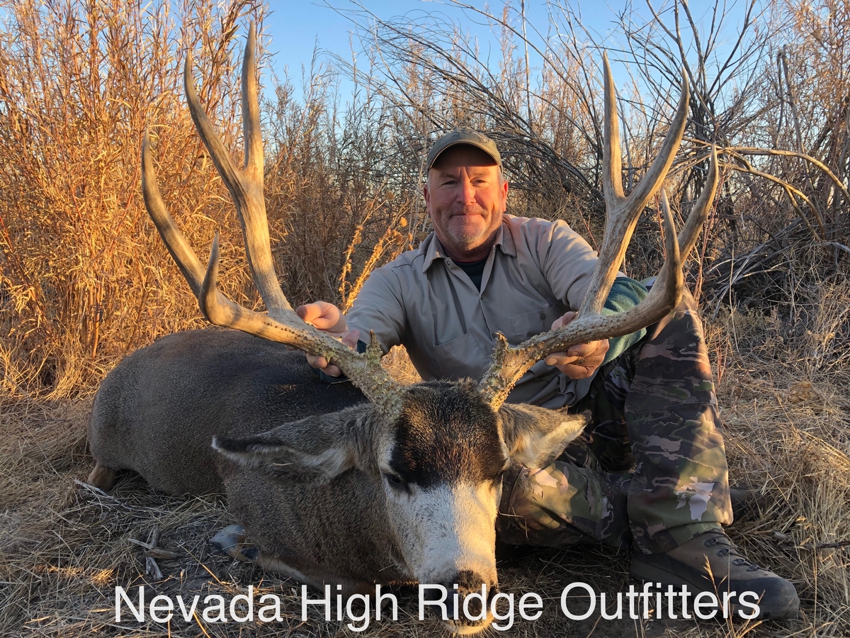 Page 2/2 - Nevada High Ridge Outfitters 2020 Hunts Photo Gallery