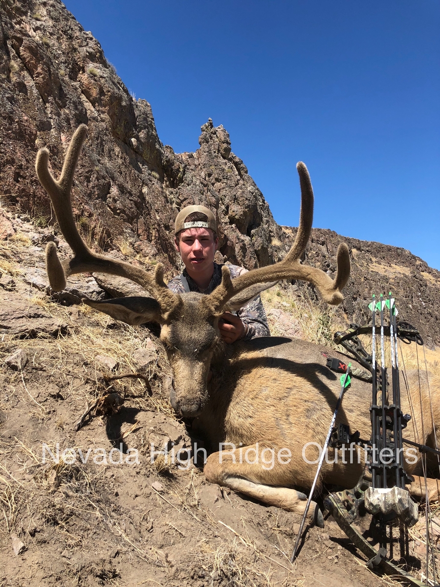 Page 2/2 - Nevada High Ridge Outfitters 2020 Hunts Photo Gallery