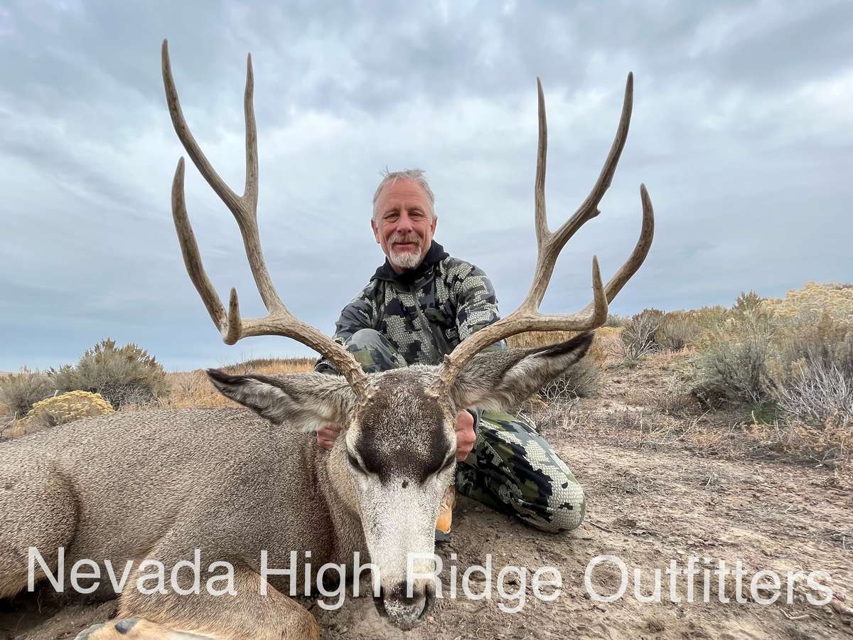 Page 2/8 - Nevada Mule Deer Hunting