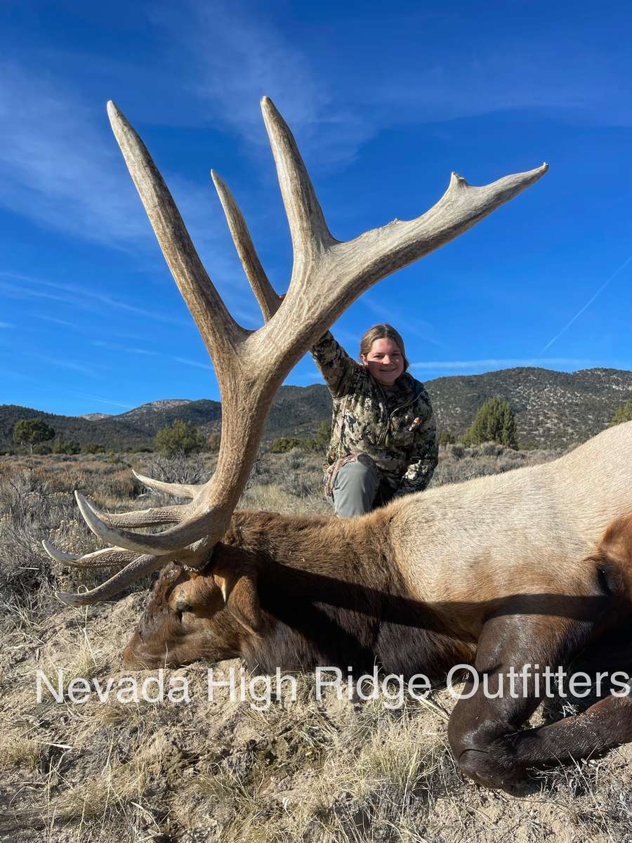 Nevada Elk Hunts - Nevada High Ridge Outfitters