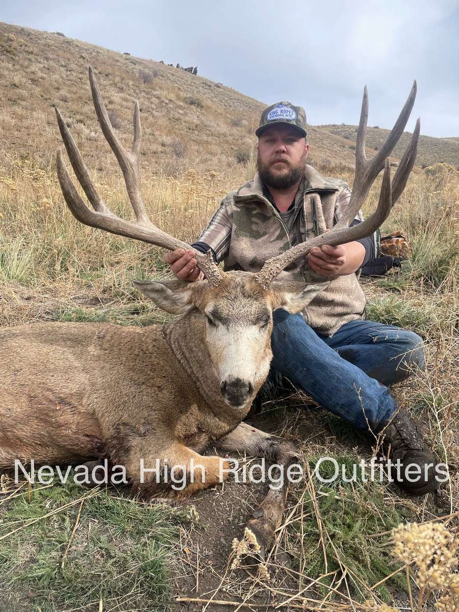Nevada Mule Deer Hunting - Nevada High Ridge Outfitters