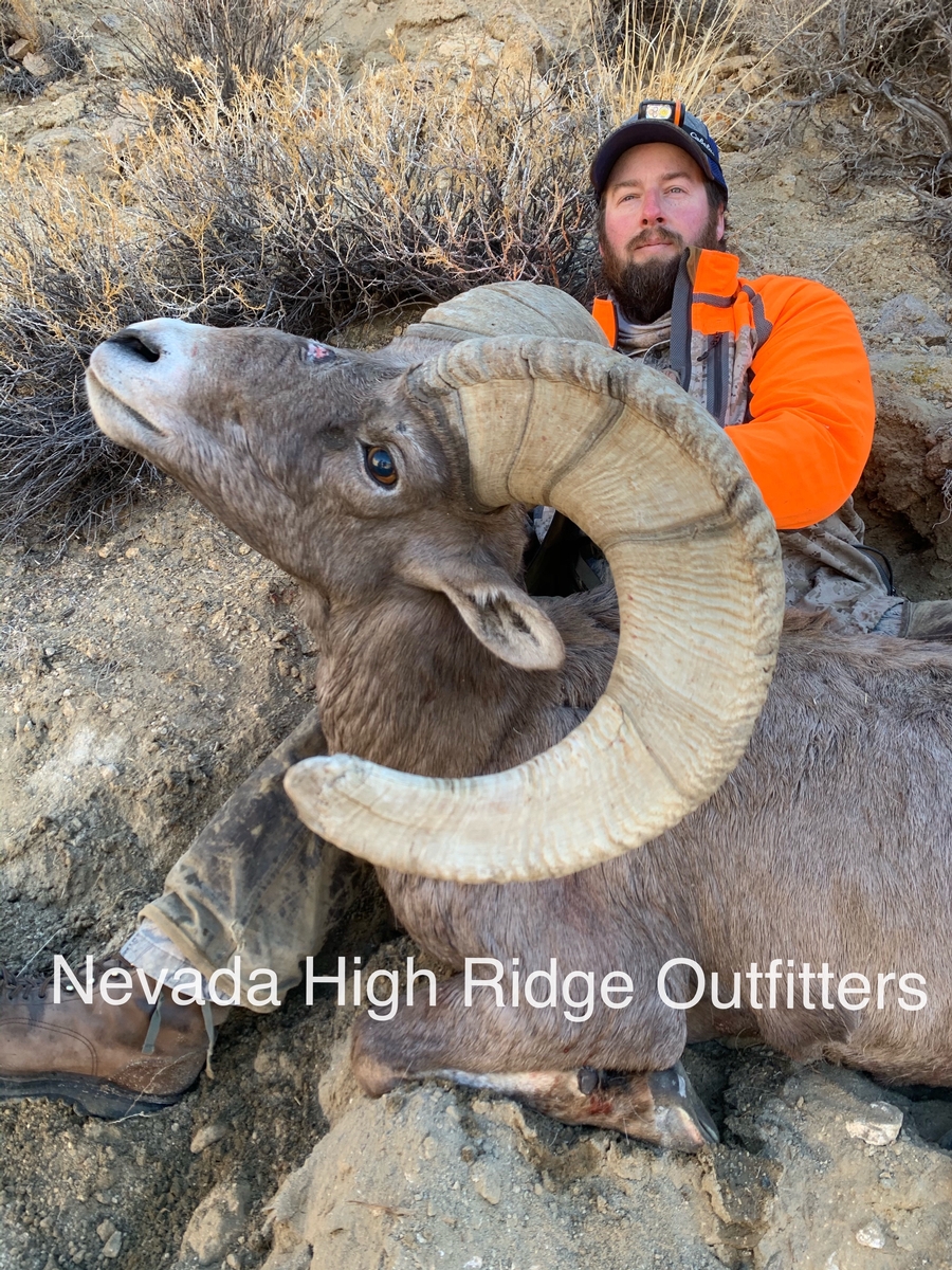 Page 2/2 - Nevada High Ridge Outfitters 2020 Hunts Photo Gallery