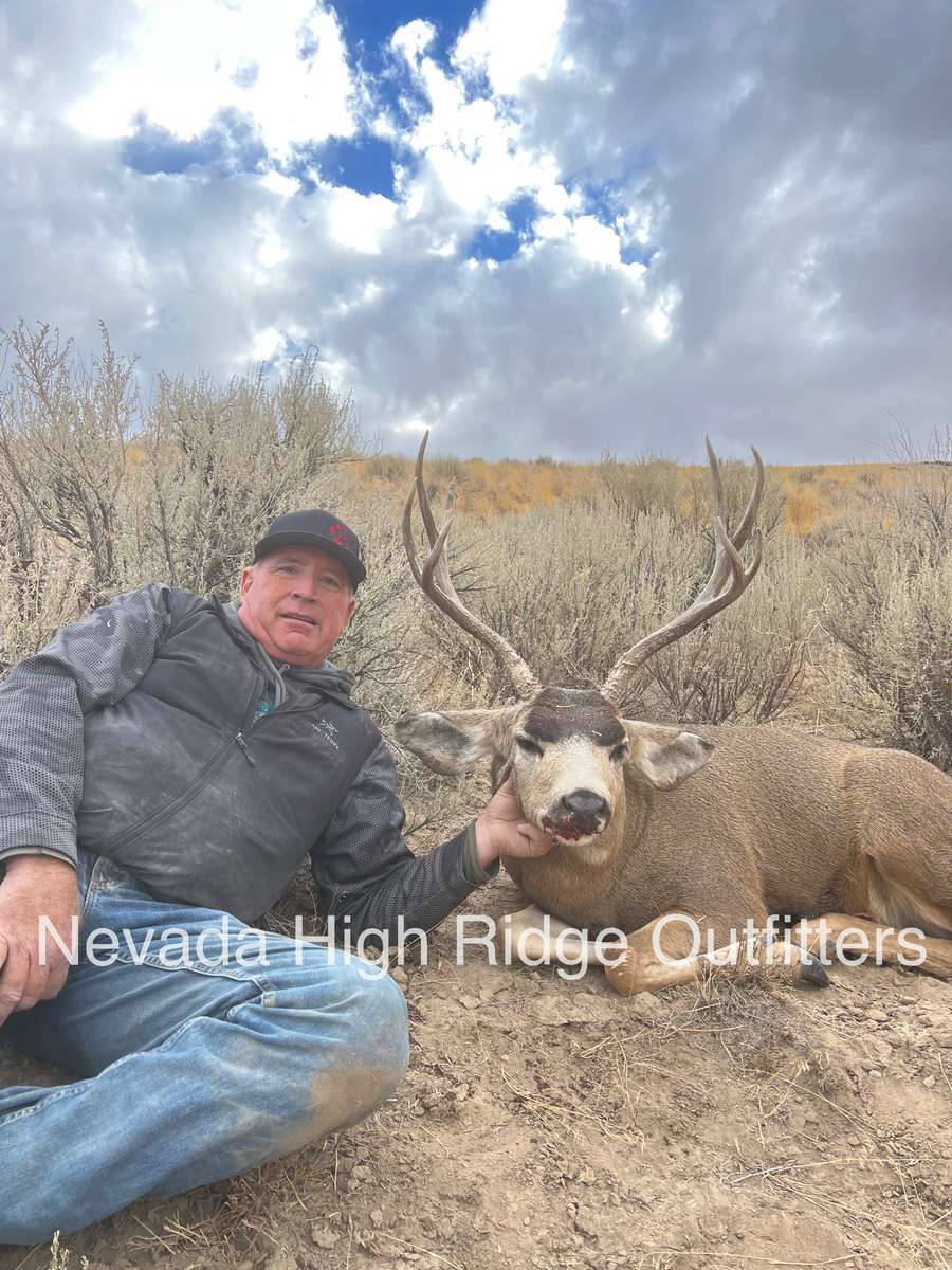 Page 2/2 - Nevada High Ridge Outfitters 2022 Hunts Photo Gallery