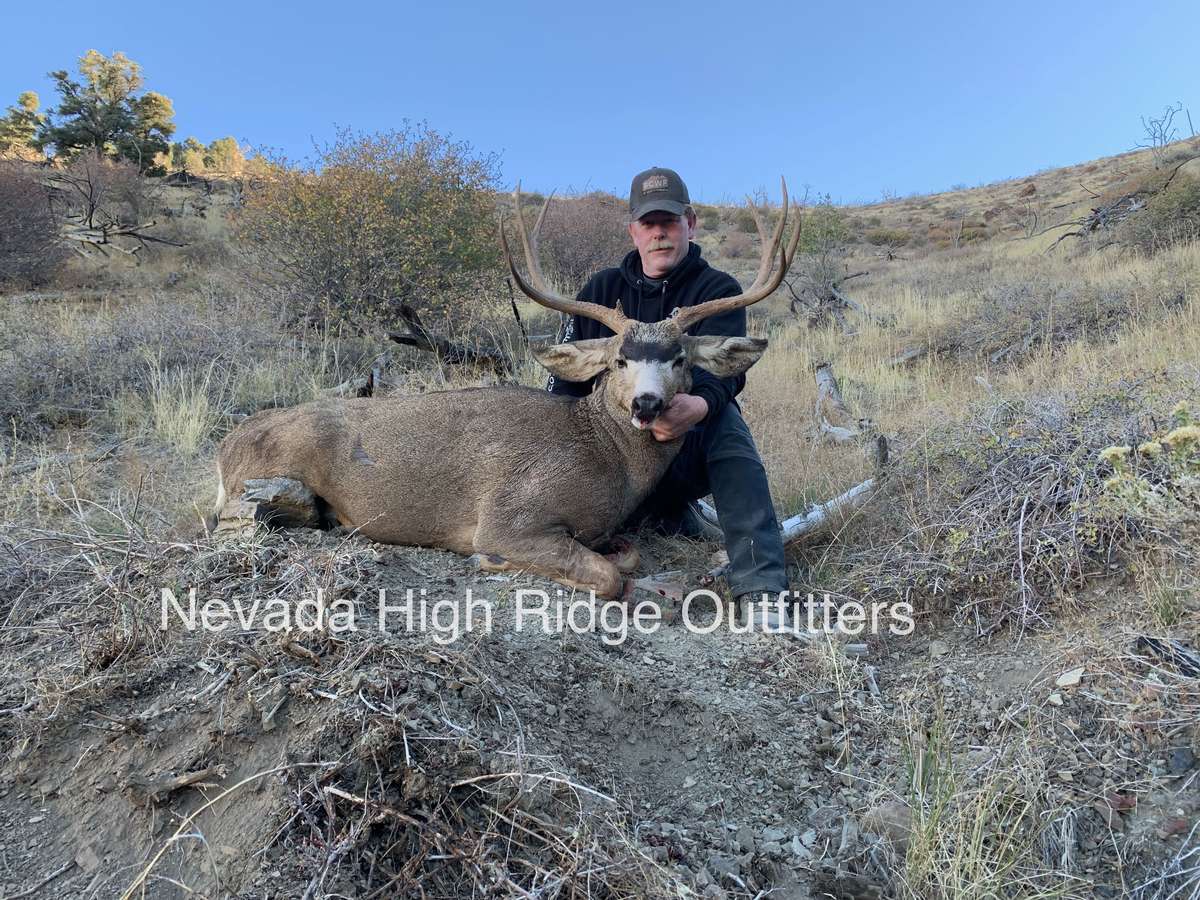 Page 2/2 - Nevada High Ridge Outfitters 2022 Hunts Photo Gallery