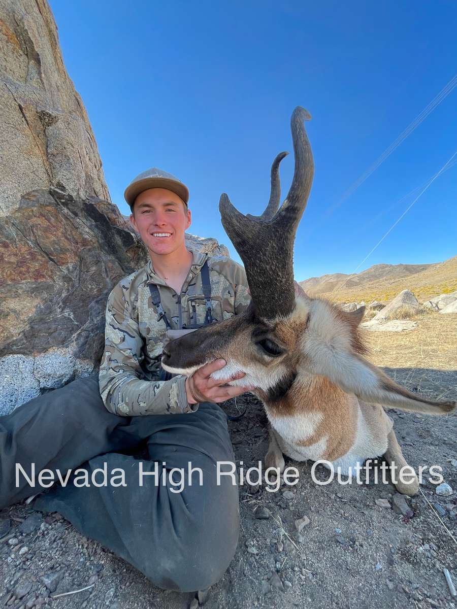 Nevada Antelope Hunts - Nevada High Ridge Outfitters