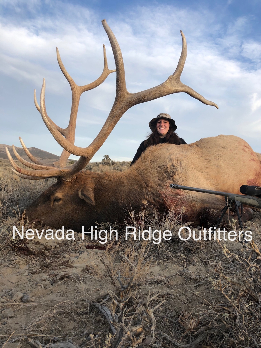Nevada Elk Hunts - Nevada High Ridge Outfitters