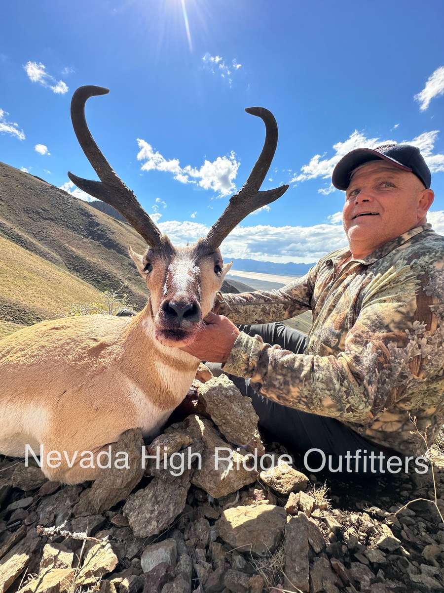 Nevada Antelope Hunts - Nevada High Ridge Outfitters