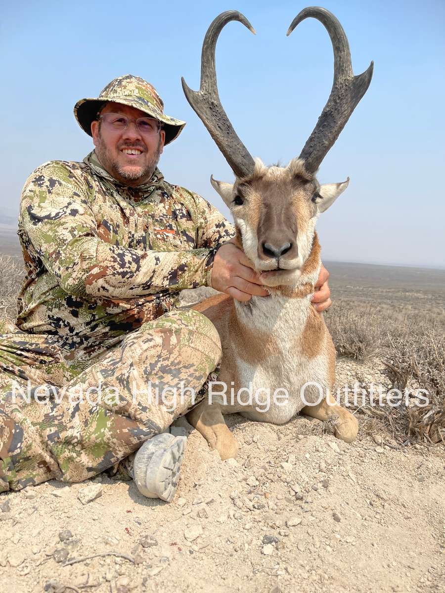 Nevada Antelope Hunts - Nevada High Ridge Outfitters