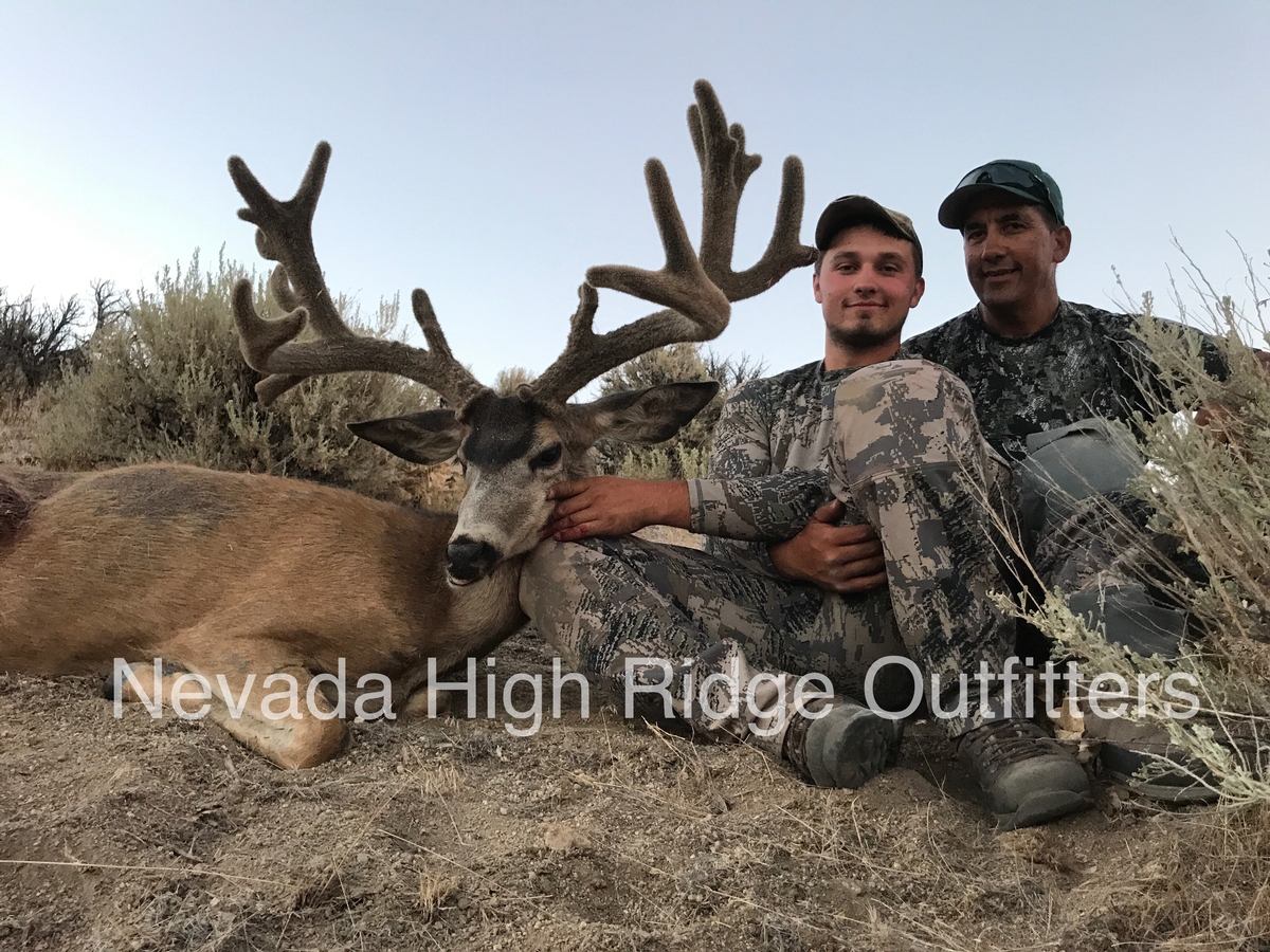 Nevada Mule Deer Hunting - Nevada High Ridge Outfitters