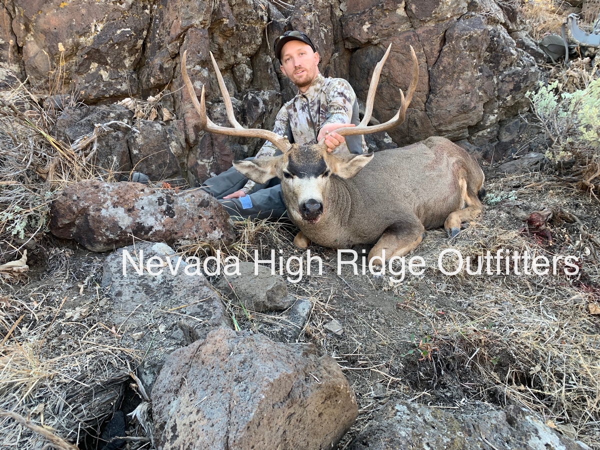 Nevada High Ridge Outfitters 2020 Hunts Photo Gallery