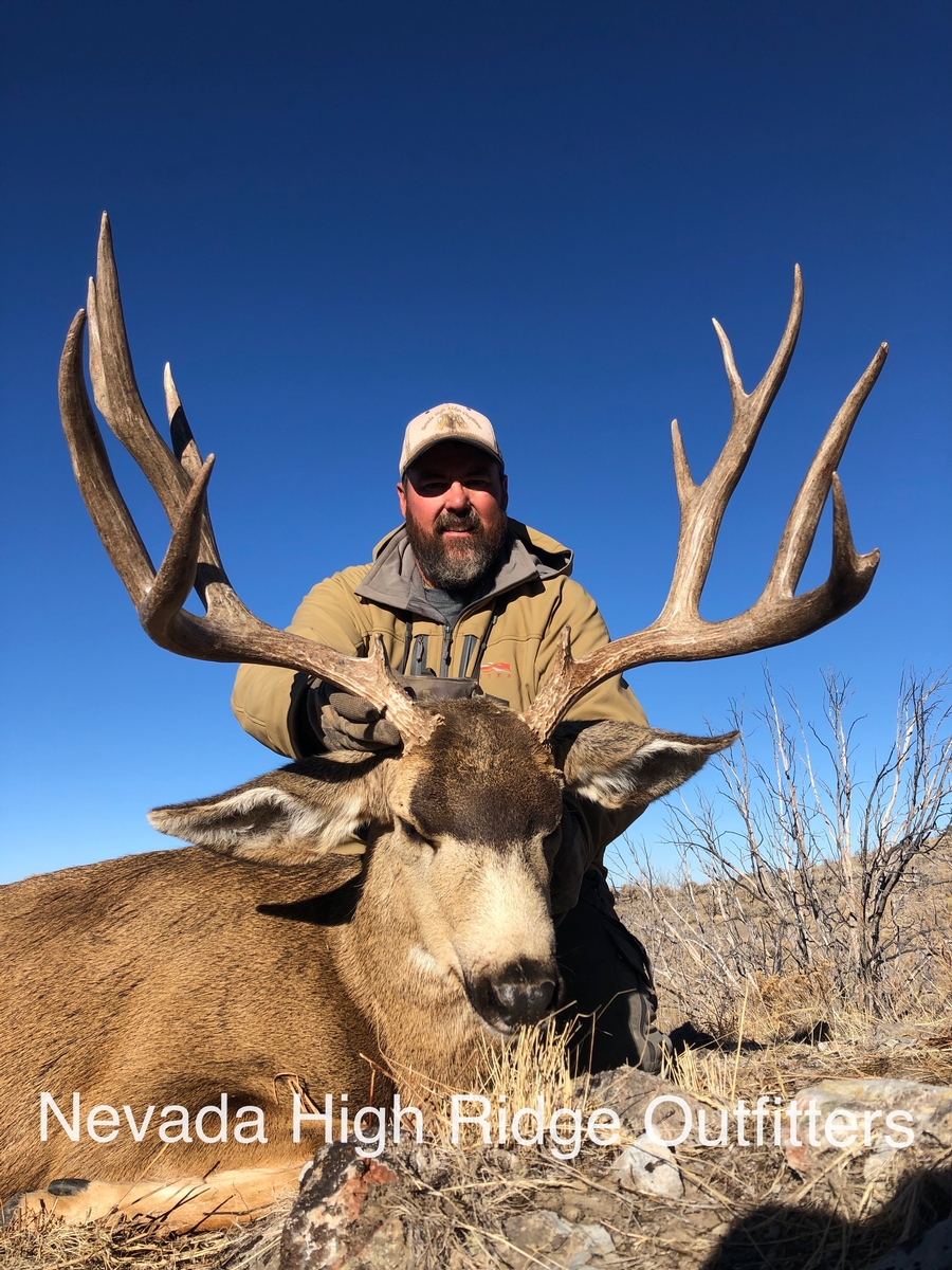Nevada Mule Deer Hunting - Nevada High Ridge Outfitters