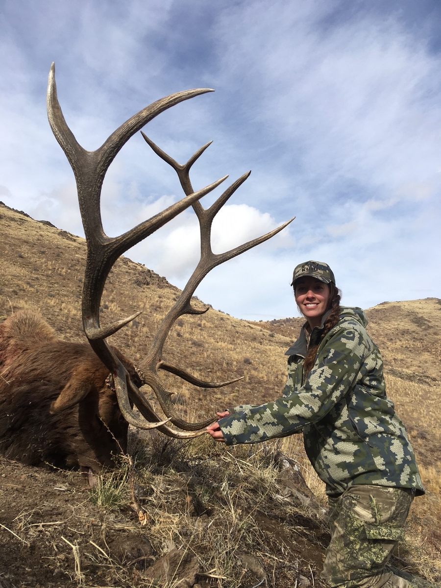 Nevada Elk Hunts - Nevada High Ridge Outfitters