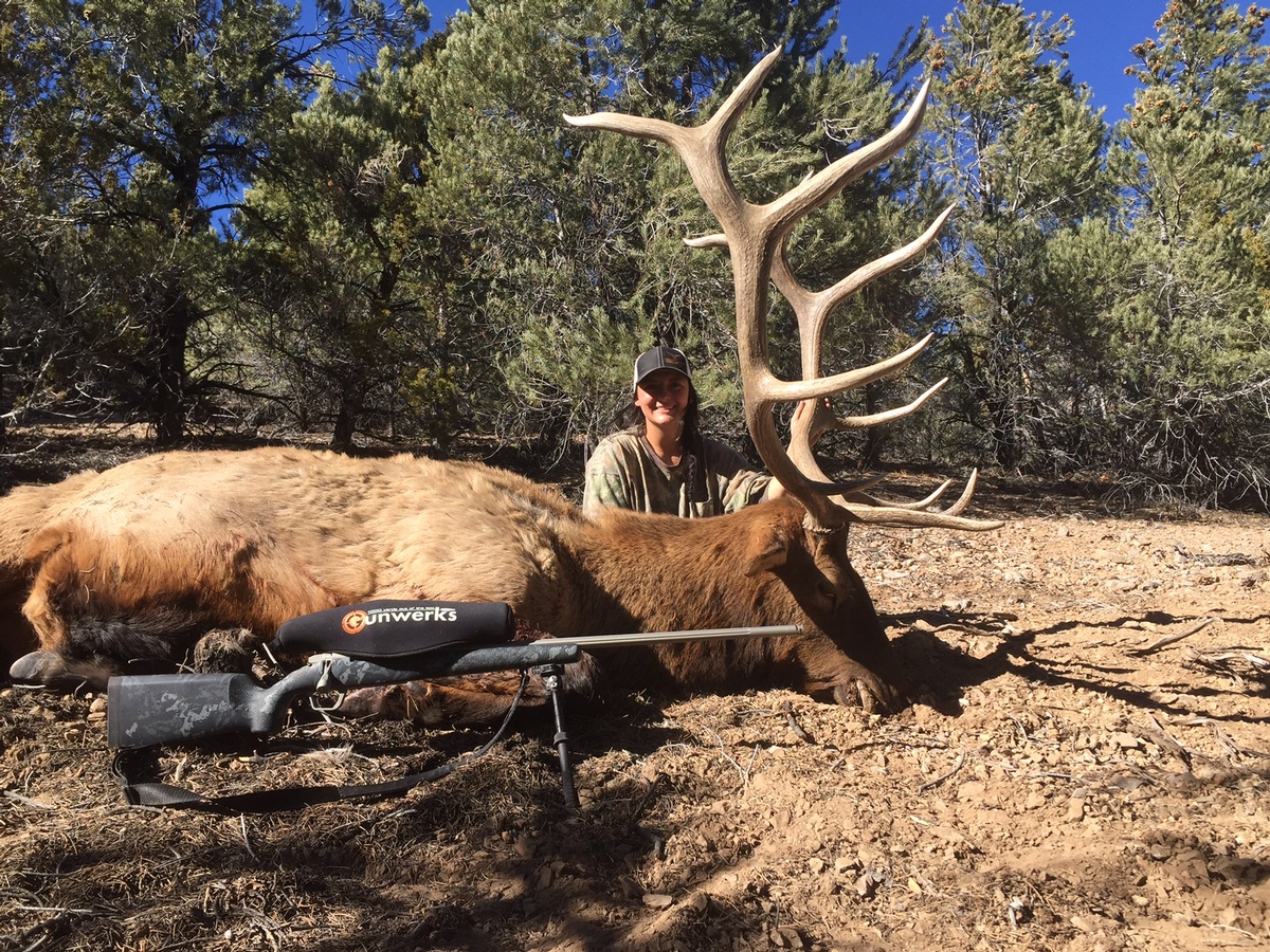Nevada Elk Hunts - Nevada High Ridge Outfitters