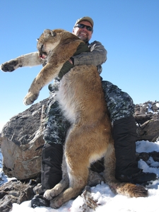 Nevada Mountain Lion Hunts - Nevada High Ridge Outfitters