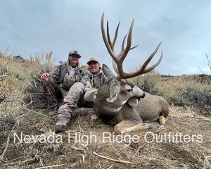 Nevada Mule Deer Hunting - Nevada High Ridge Outfitters